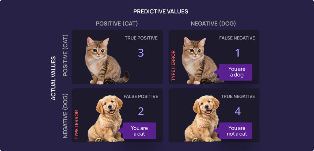 Understanding Model Evaluation Metrics For Image Classification • Akridata